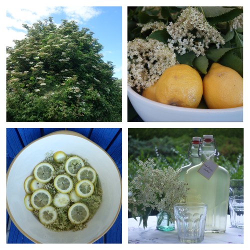 Wild Irish Elderflower Cordial | In an Irish Home