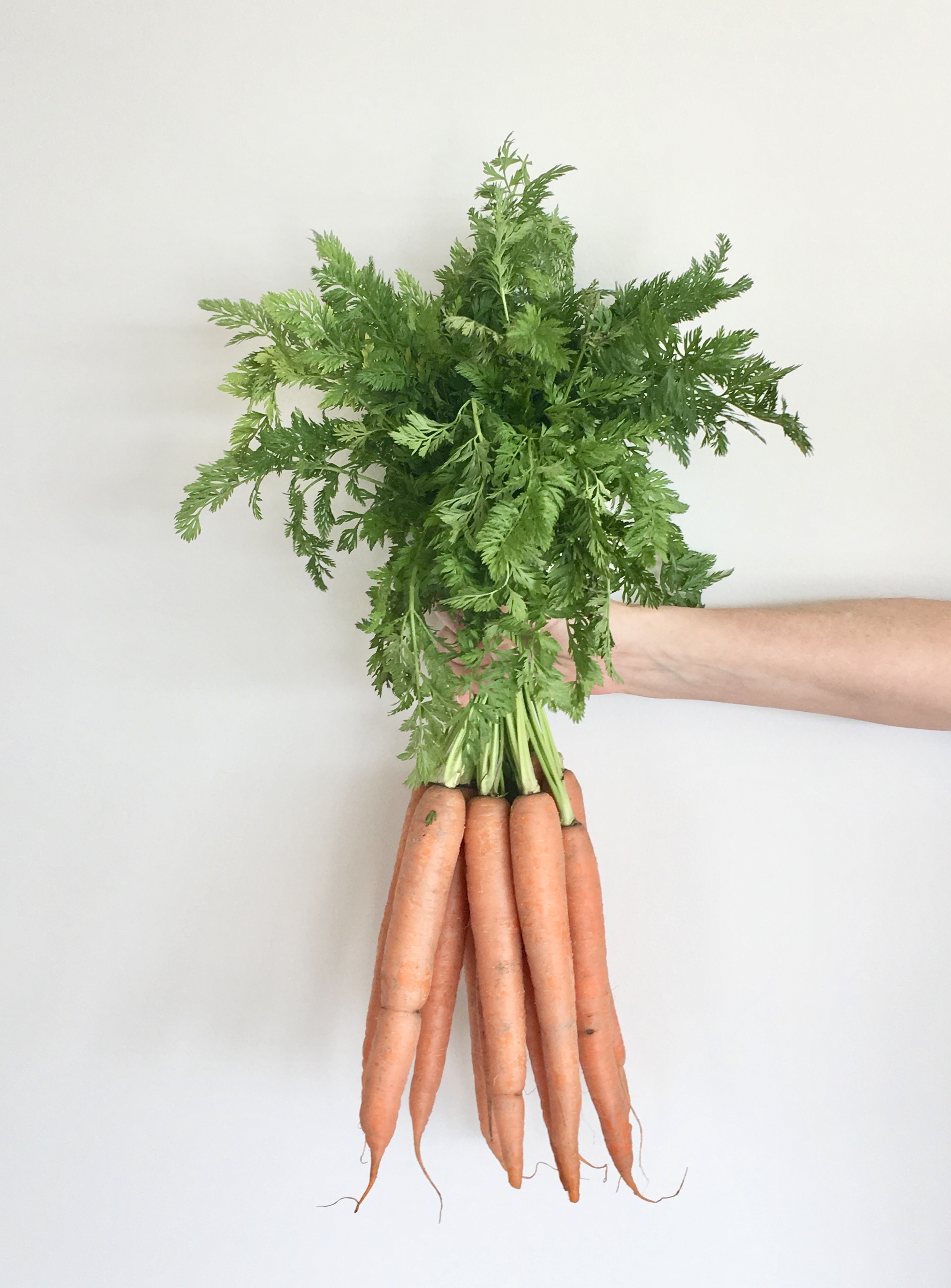 Gorgeous Roasted Carrots | In an Irish Home